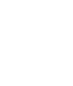 Stadion - 1. Fortuna Wiener Neustädter SC